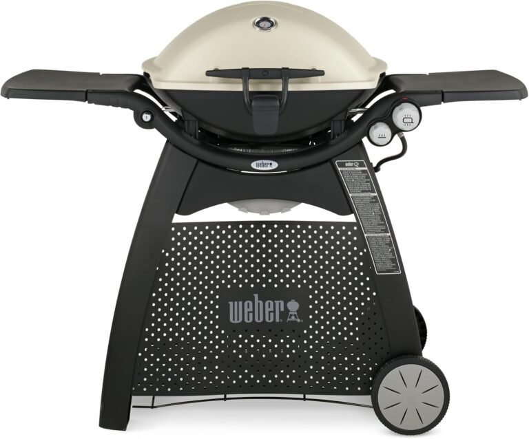 Weber Grill Reviews: Spirit, Genesis Or Q Series? [2025]
