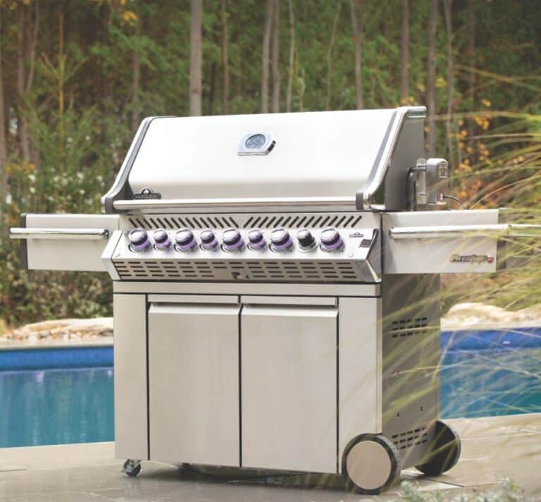 Lion Grill Review: Is It the Right Built-In Grill for You?