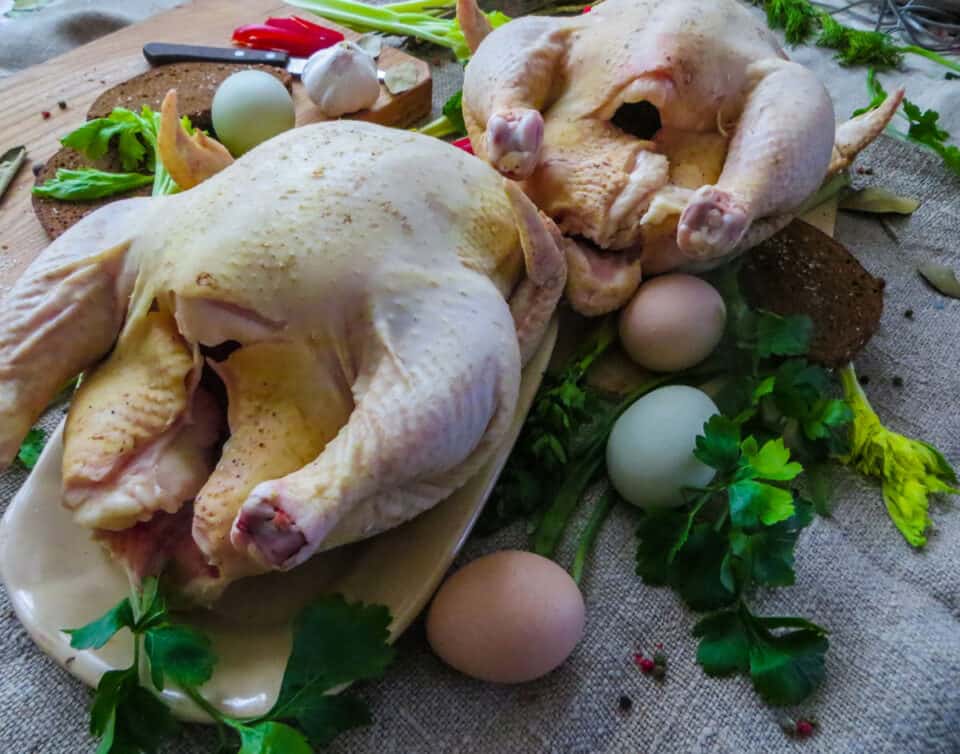 How Tall Is A Chicken? How This Affects Your Cookout