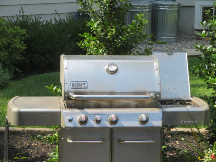 Weber Genesis Silver A Vs B: Meeting In A Fiery Clash