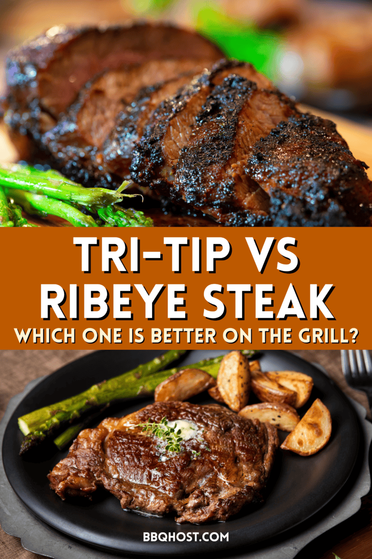 Tri Tip Vs Ribeye: Which One Would Be Better On The Grill?